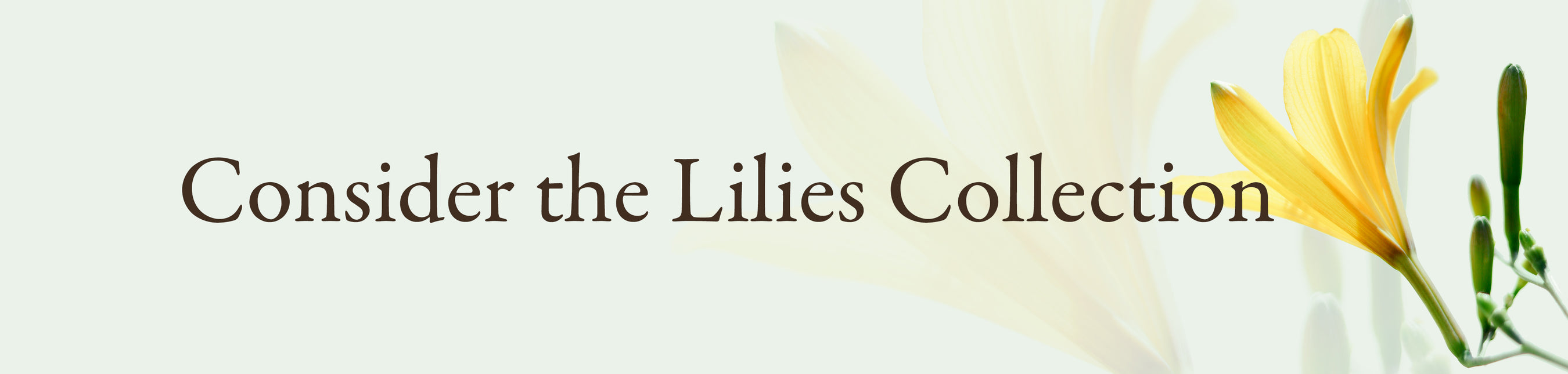 Consider the Lilies Collection — Jackman Music